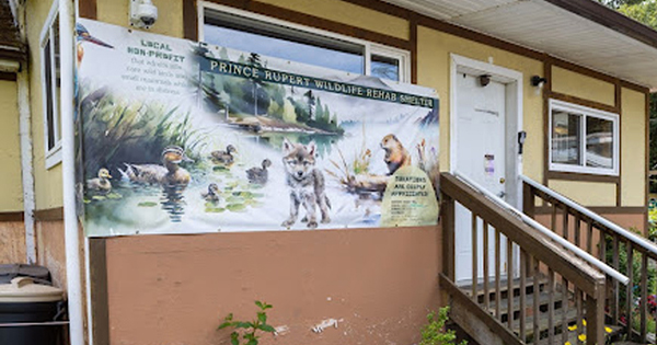 Order tickets for the 2025 Prince Rupert Wildlife Rehab Shelter 50/50 ...
